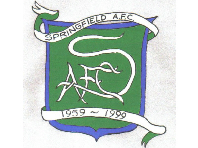 Springfield FC Notes – Cobh Edition
