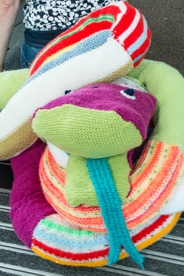 Can You Guess the length of ‘Monty The Python’ – Cobh Edition